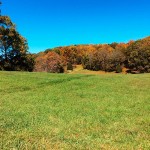 The Heritage at Abingdon | The area's newest and finest community