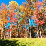 The Heritage at Abingdon | The area's newest and finest community